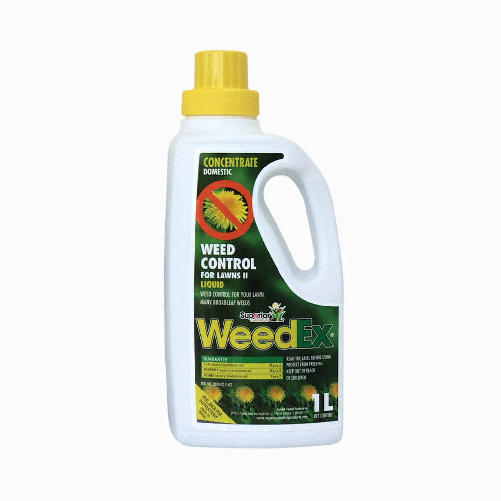 Weedex Weed Control For Lawn Ii 1l Concentrate Domestic Lawnstock